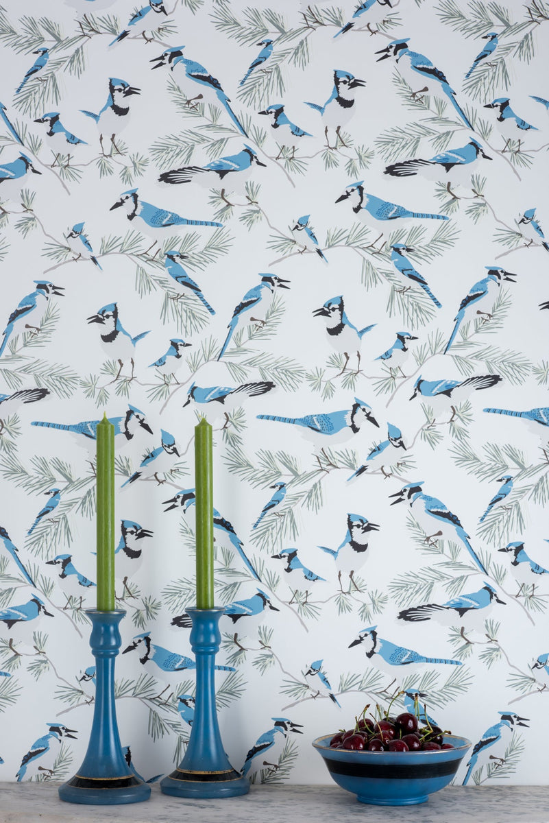 bird wallpaper blue