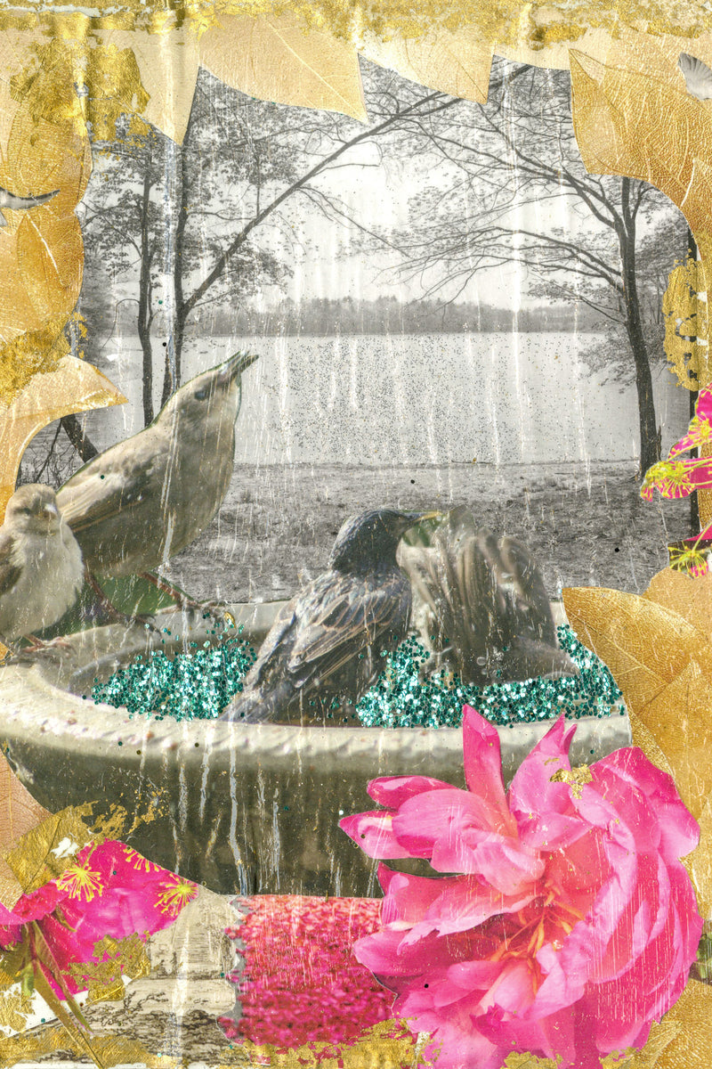 STORYBOARD NO. 3 - BIRDS OF A FEATHER – WYNIL